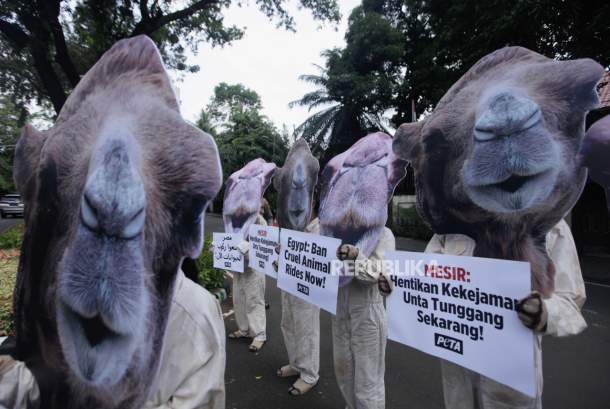 Protes Eksploitasi Unta Tunggang di Kedubes Mesir