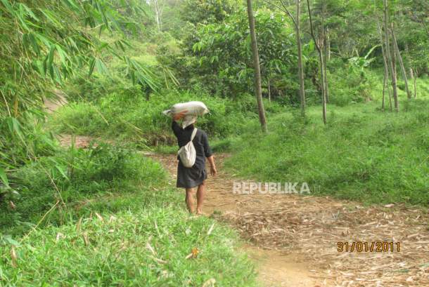 Sambut Upacara, Warga Badui Dalam Buru Tupai Sambut Upacara, Warga Badui Dalam Buru Tupai