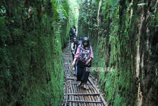Hutan Itu, Kenapa Pergi?