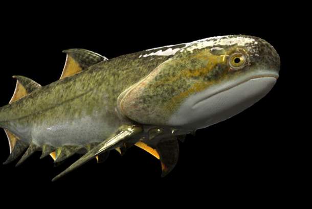Fosil Gigi Ikan Tertua Ada di Cina