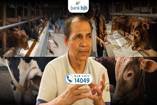 bjb KUR, Sukseskan Bisnis Rumah Sapi Arrahman