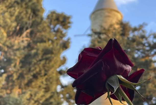 Ummu Haram Binti Milhan, Mujahidah di Lautan