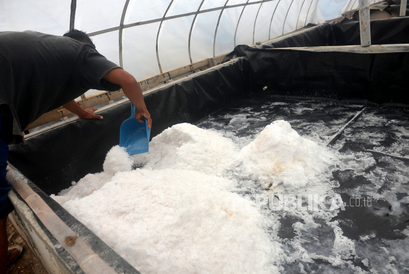 Produksi Garam Pantai Sepanjang | Republika Online