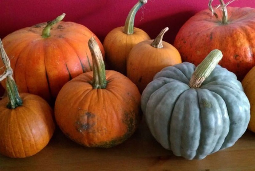 Waluh Dapat Sehatkan Penderita Diabetes | Republika Online