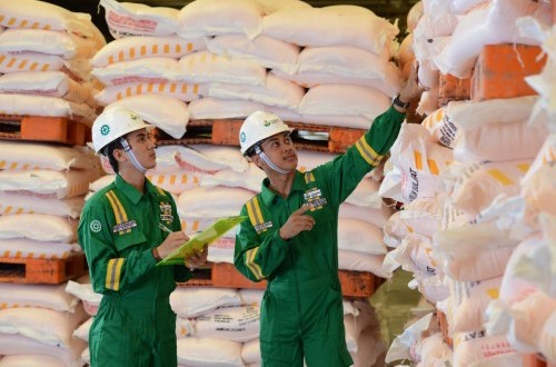 Petrokimia Gresik Uji Coba Pupuk Phonska OCA | Republika Online