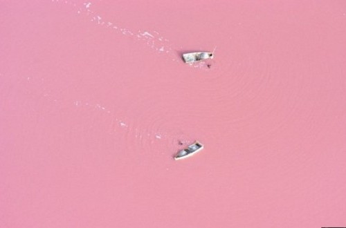Intip Keseruan Tempat Wisata Bernuansa Pink | Republika Online