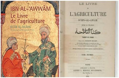 Misteri Hilangnya Tahu-Tempe dan Kitab Al Filaha | Republika Online