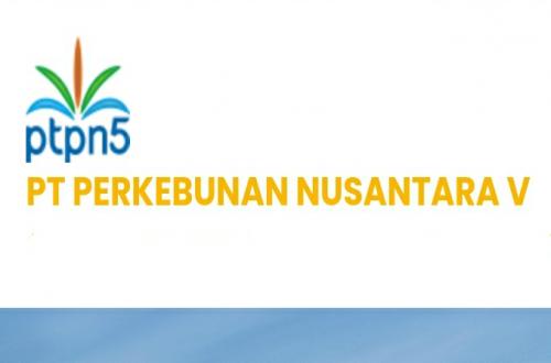 PTPN V Bikin Peta Jalan Pengembangan Dekarbonisasi | Republika Online