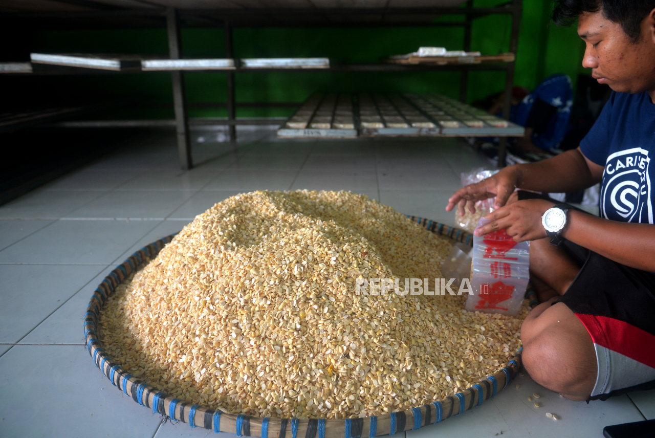 Pengerajin Tempe Memperkecil Ukuran