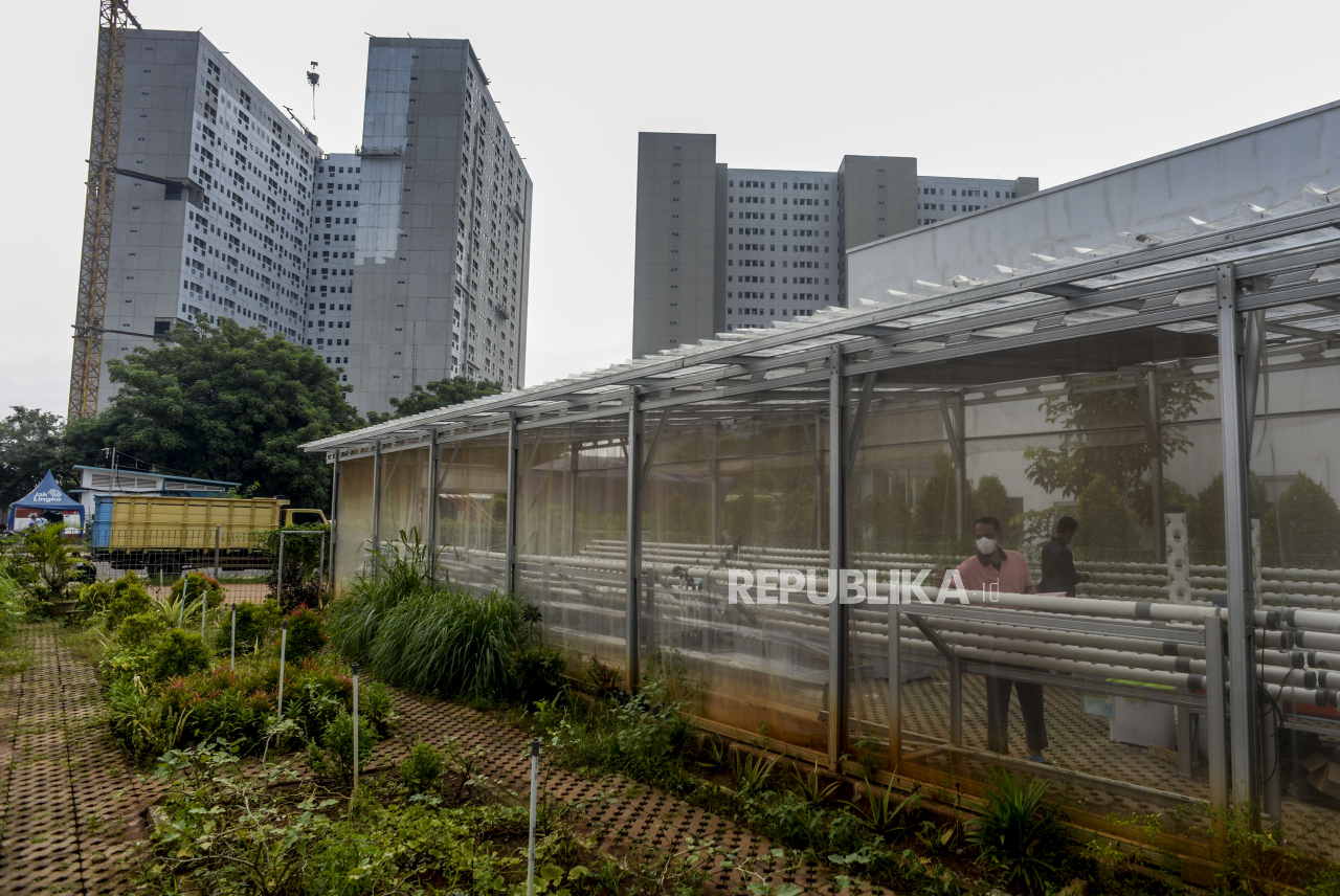 Greenhouse Rusun Menara Samawa