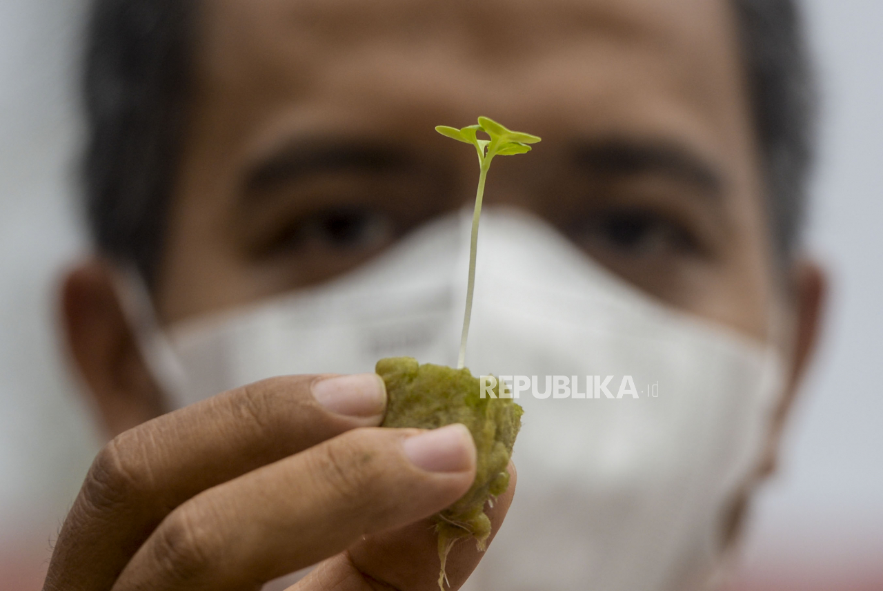 Greenhouse Rusun Menara Samawa