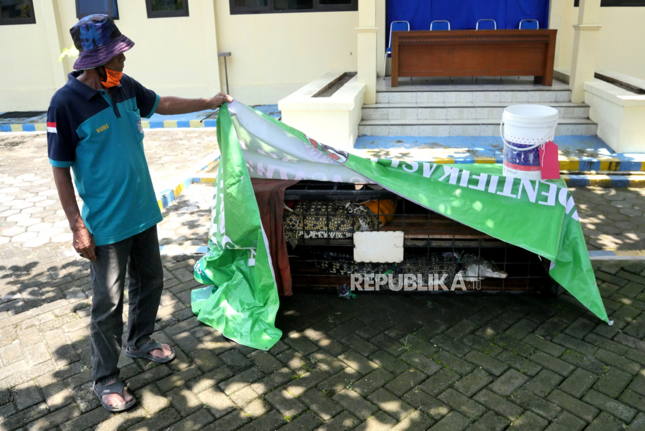Gelar Perkara Perniagaan Satwa Dilindungi