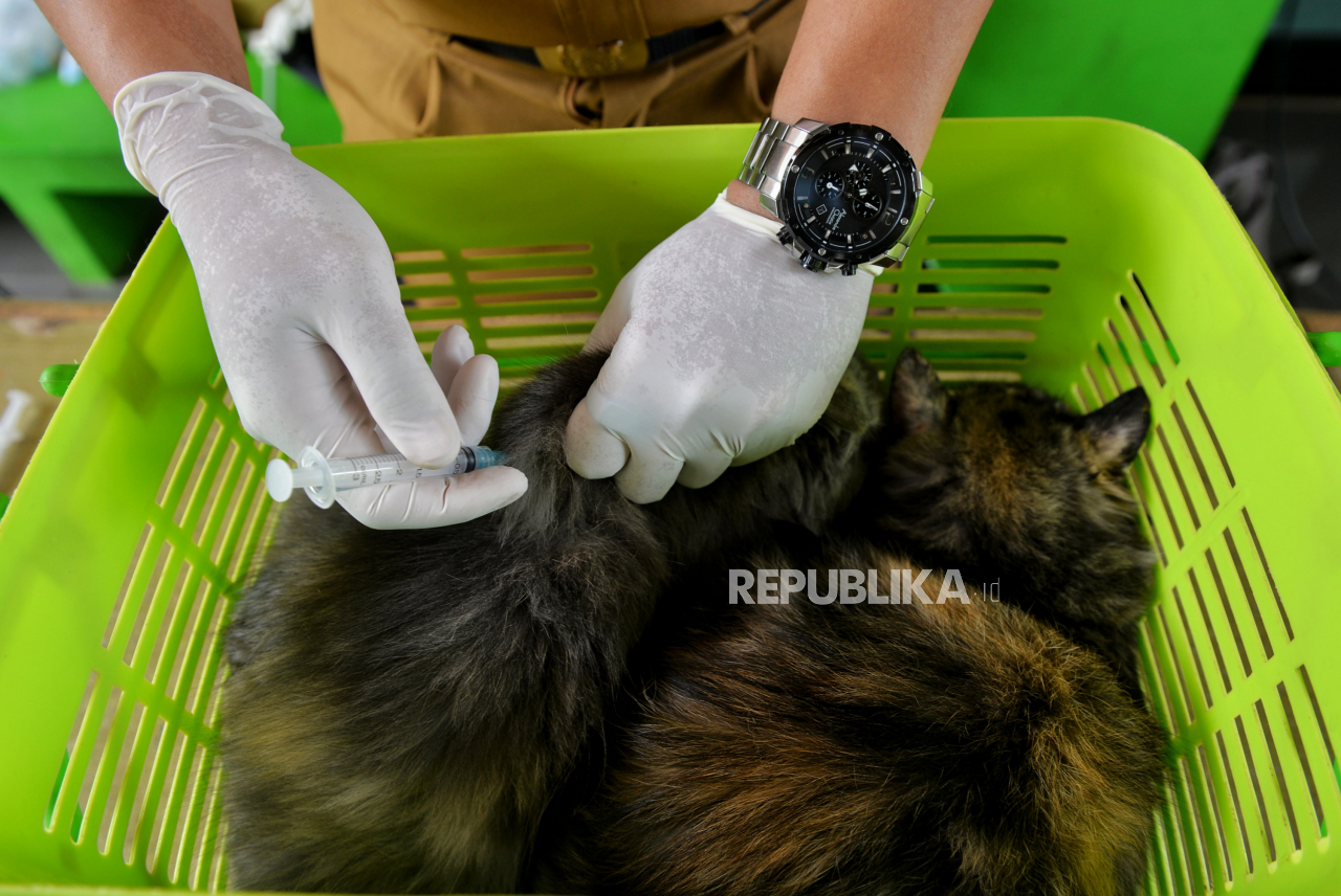 Vaksinasi Rabies di Jakarta Selatan