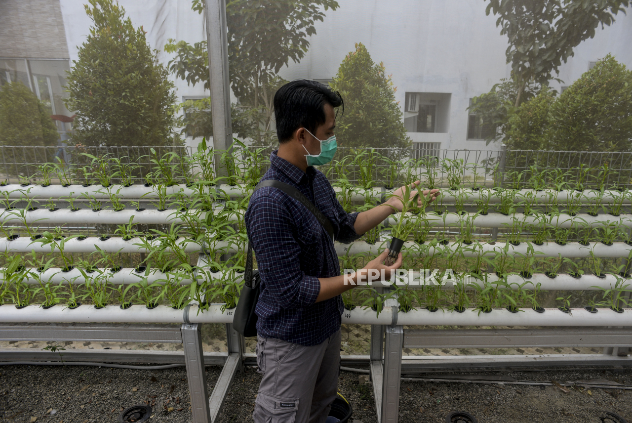 Greenhouse Rusun Menara Samawa
