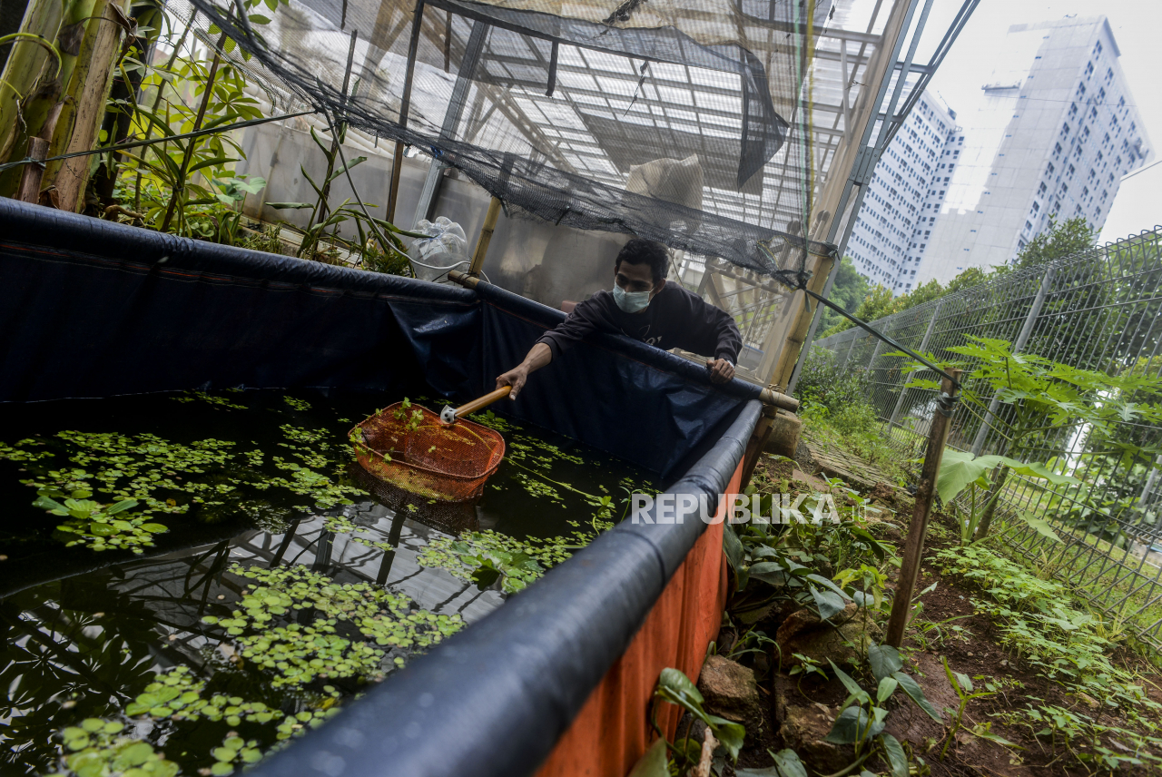 Greenhouse Rusun Menara Samawa