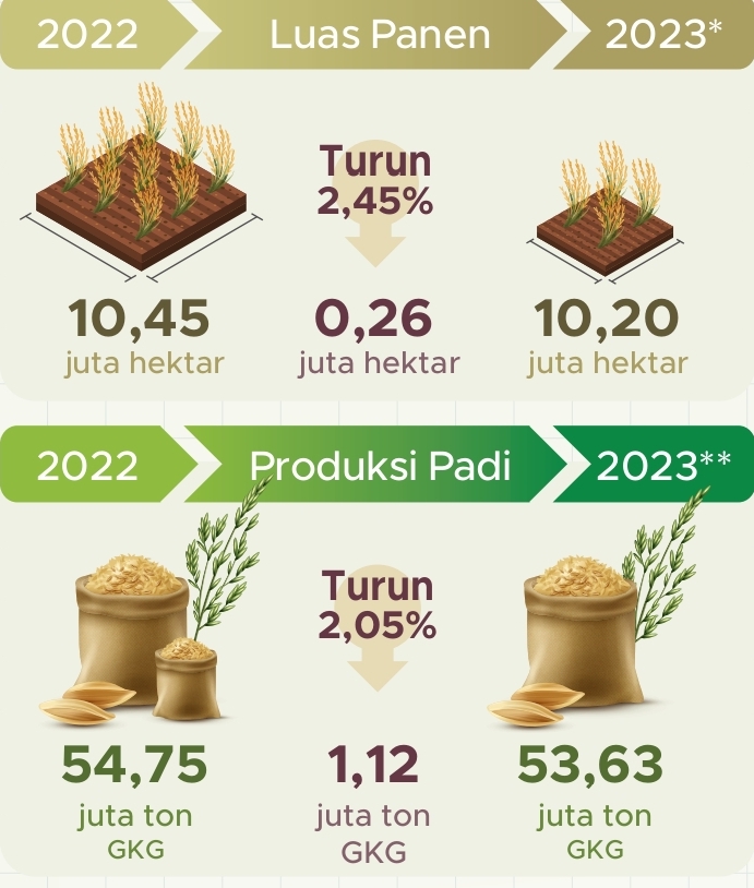 BPS Prediksi Produksi Beras Turun 645 Ribu Ton BPS Prediksi Produksi Beras Turun 645 Ribu Ton