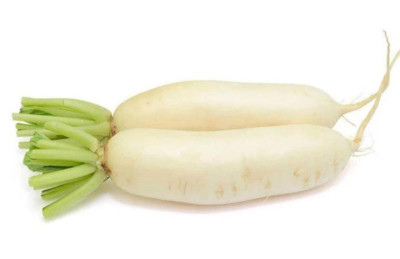 Wajib Tahu, Dahsyatnya Manfaat Khasiat Tanaman Sayuran Lobak Putih Bagi ...