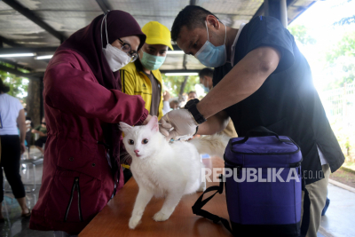 Vaksin Rabies Gratis di Jakarta. Catat Tanggal dan Lokasinya | ramenten