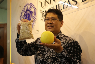 Melon Hikapel atau Handy Melon, Inovasi Pakar UGM, Ini Penampakannya ...