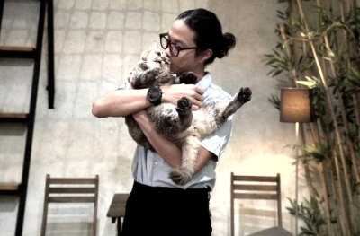 Kucing Dikta Dipanggil Rojak, Memet, dan James Tak Nengok | impresi