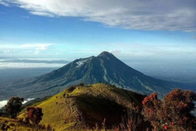 Ada Pohon Kopi Liberika Langka di Gunung Lawu | mlipir
